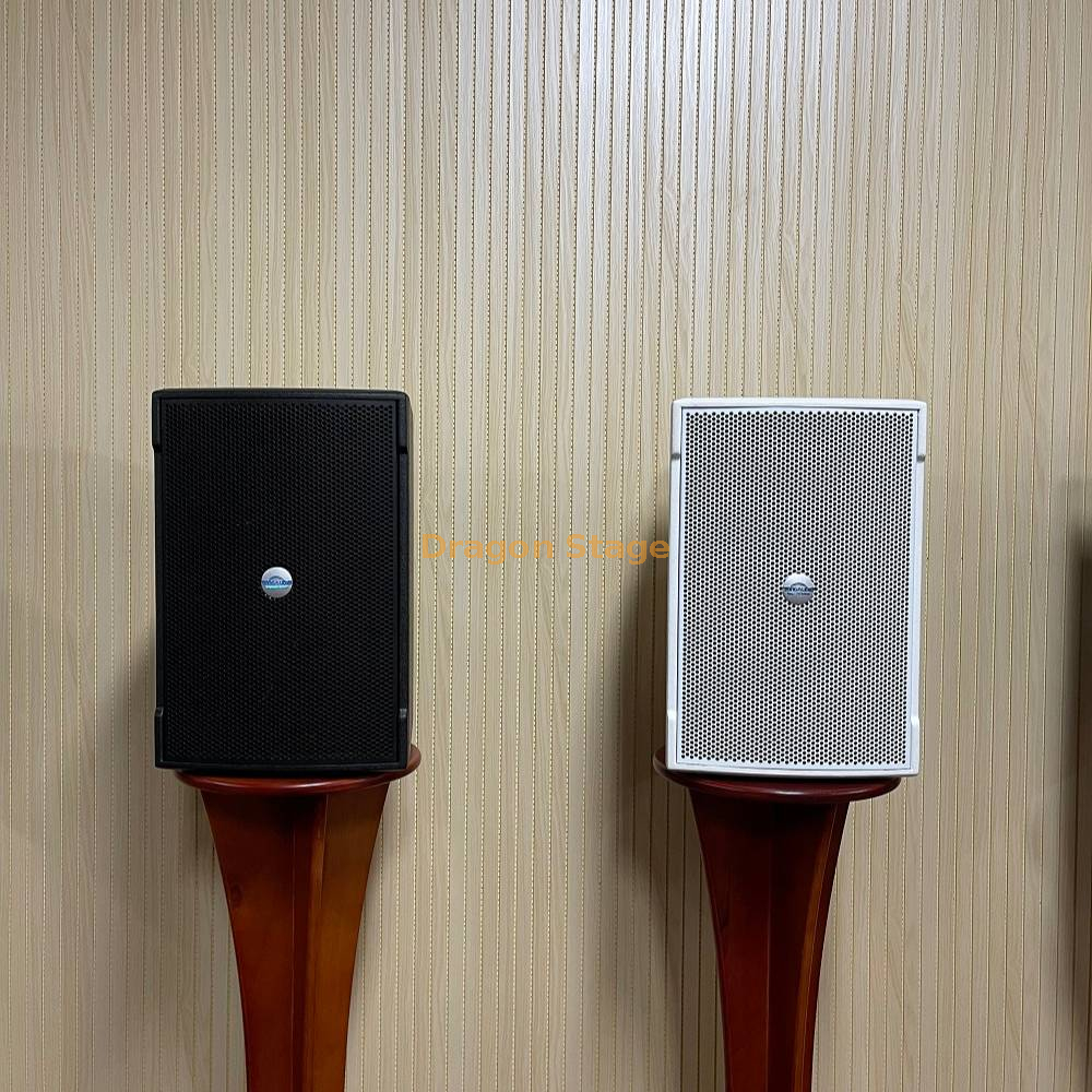 DJ Loud Pa Speaker 12 Inch Passive Professional Speaker System from ...