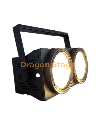 2 Eyes Monochrome COB Surface Light Audience Light twin cob light from ...